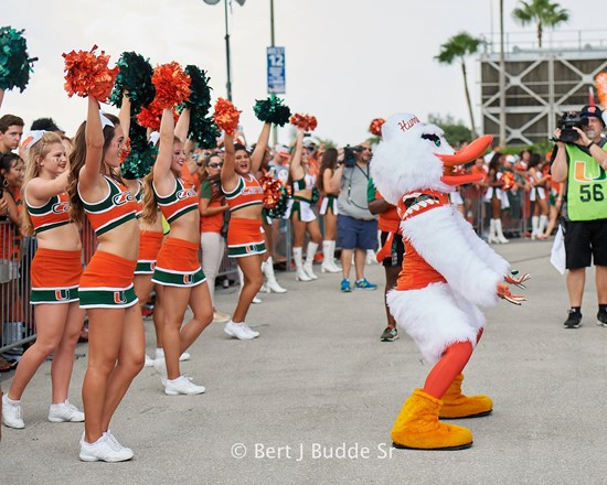 Spirit Squads 2016-17 – University of Miami Athletics