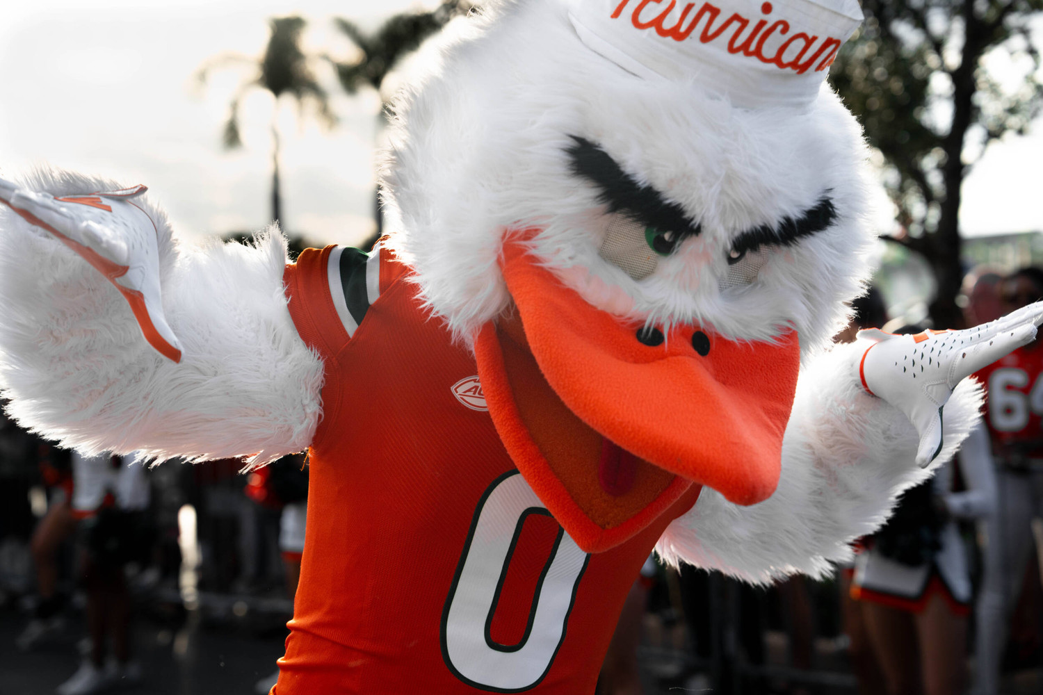 Photo Gallery: Canes Football vs Clemson – University of Miami Athletics